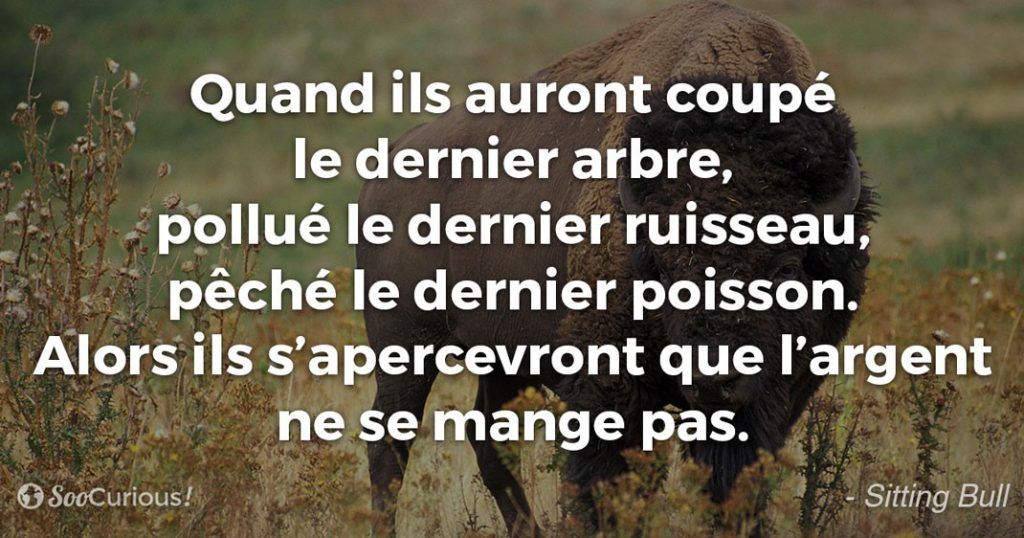 16 citations de chefs indiens qui montrent la sagesse et l’humilité de ...