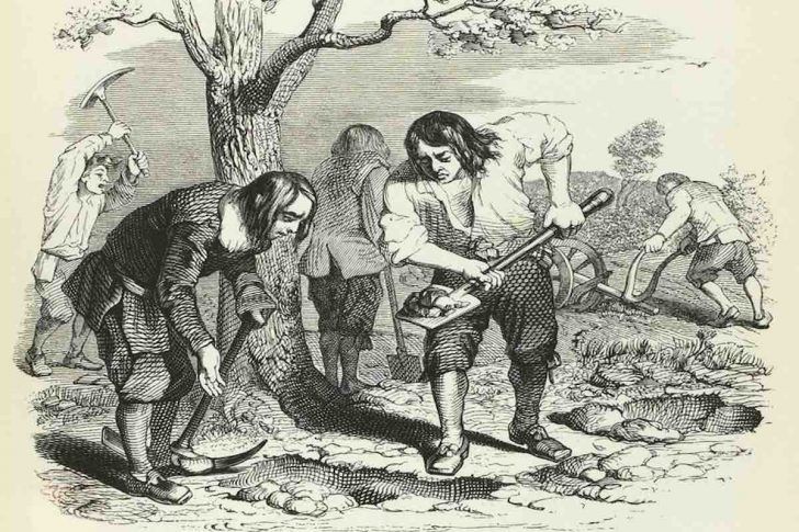 Le Laboureur et ses Enfants : Jean de La Fontaine