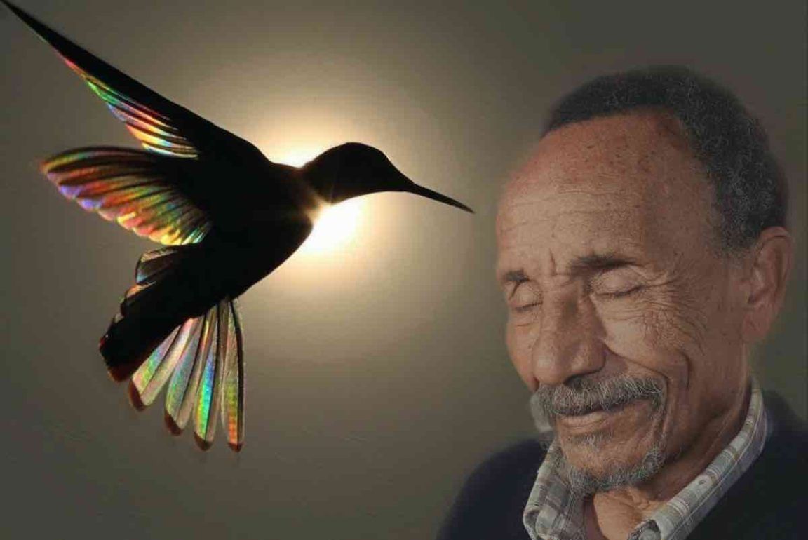 Une légende amérindienne !Voici la légende du colibri telle que la ...