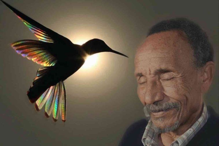 Une légende amérindienne !Voici la légende du colibri telle que la ...